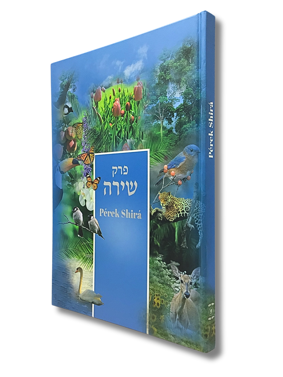 Libreria Jerusalem – Libreria Jerusalem Centro