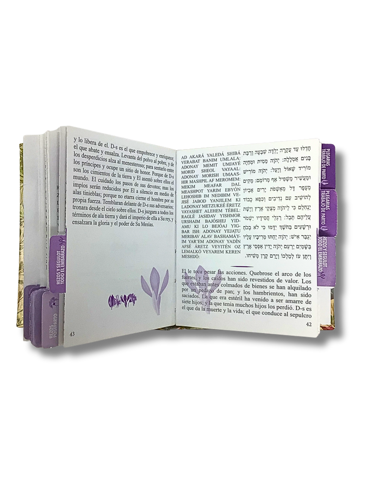 Libreria Jerusalem – Libreria Jerusalem Centro